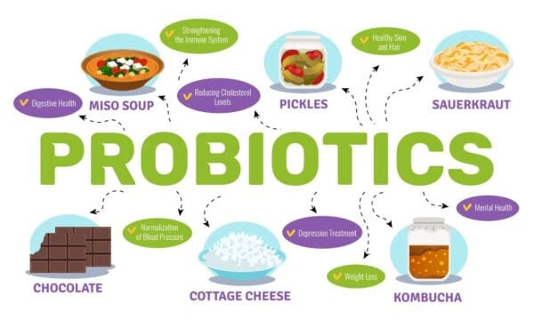 What are some healthy sources of probiotics? - FITPAA