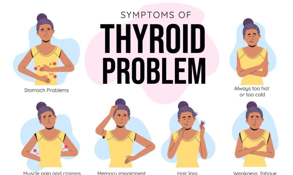 What is the connection between thyroid problems and weight? - FITPAA