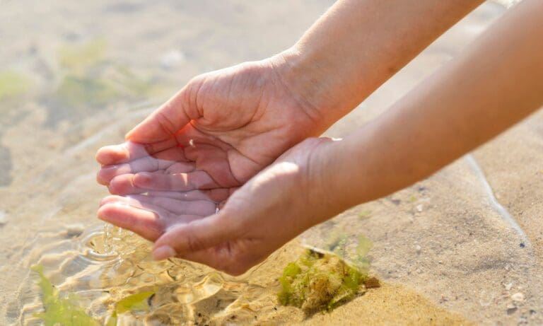 Treating Jellyfish Stings: First Aid Measures and Prevention - FITPAA