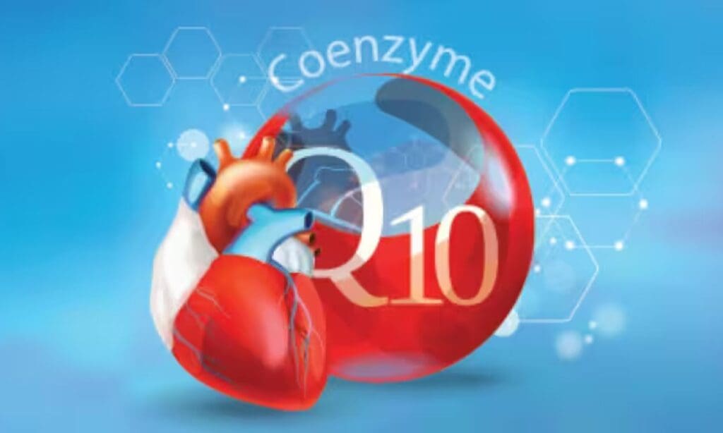 What is the role of CoQ10 in heart health? - FITPAA