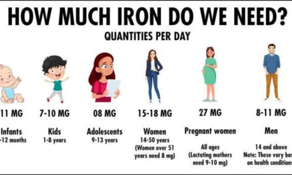 What is the recommended daily intake of iron? - FITPAA