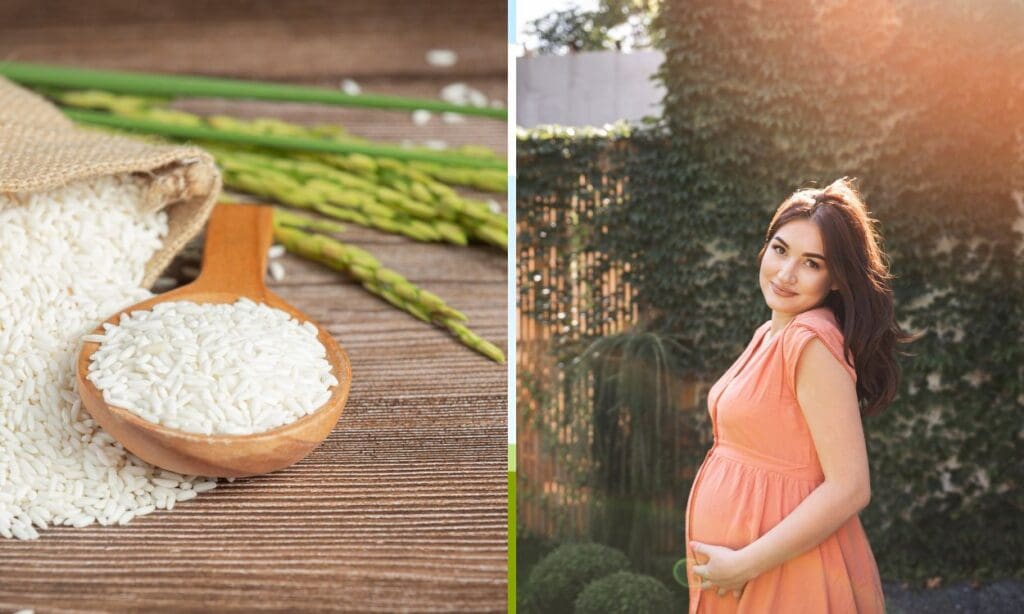 Rice and Pregnancy Nutrition: Essential Nutrients for Mother and Baby ...
