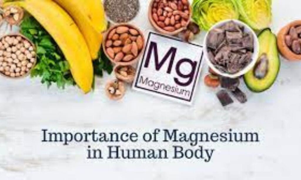 What is magnesium, and why is it important? - FITPAA