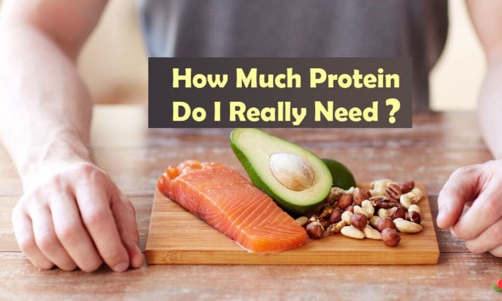 How Much Protein Do I Need FITPAA