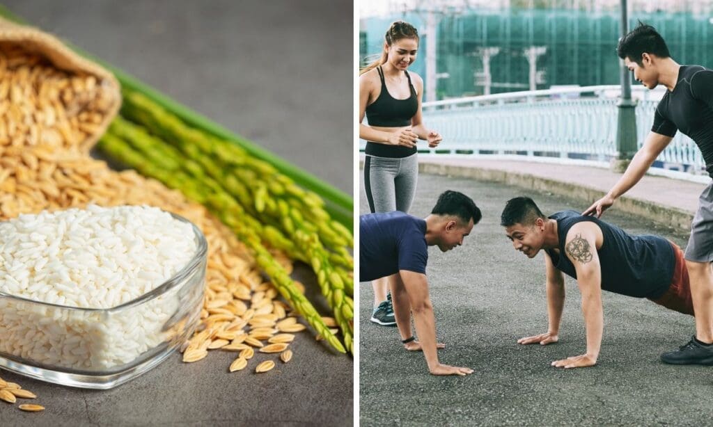Rice and Exercise Performance: Energy Source and Recovery Aid - FITPAA