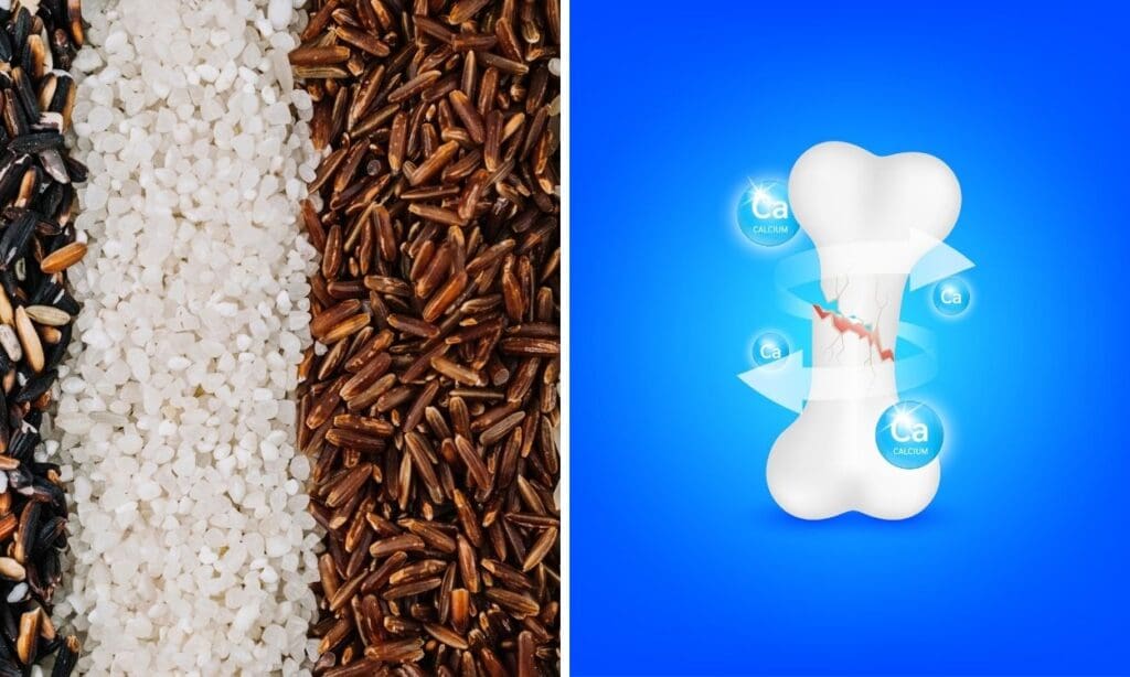 Rice and Bone Strength: Calcium Absorption and Osteoporosis Prevention ...