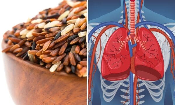 Rice and Lung Health: Anti-inflammatory Effects and Respiratory Support ...