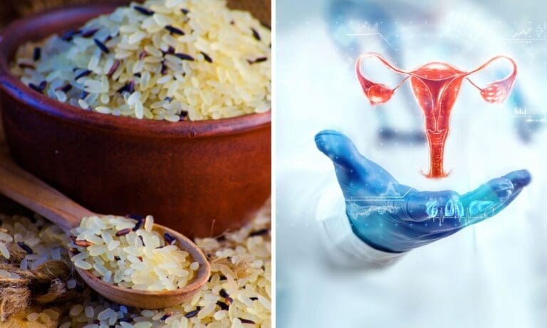 Rice and Polycystic Ovary Syndrome (PCOS): Dietary Considerations - FITPAA