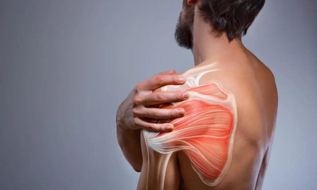 What is the connection between stress and muscle tension? - FITPAA